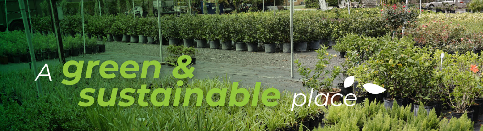 About Us - Greenday Nursery and Landscaping